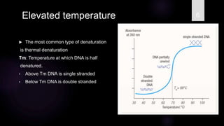 Dna denaturation and renaturation | PPT