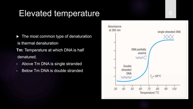 Dna denaturation and renaturation | PPT | Chemistry | Science