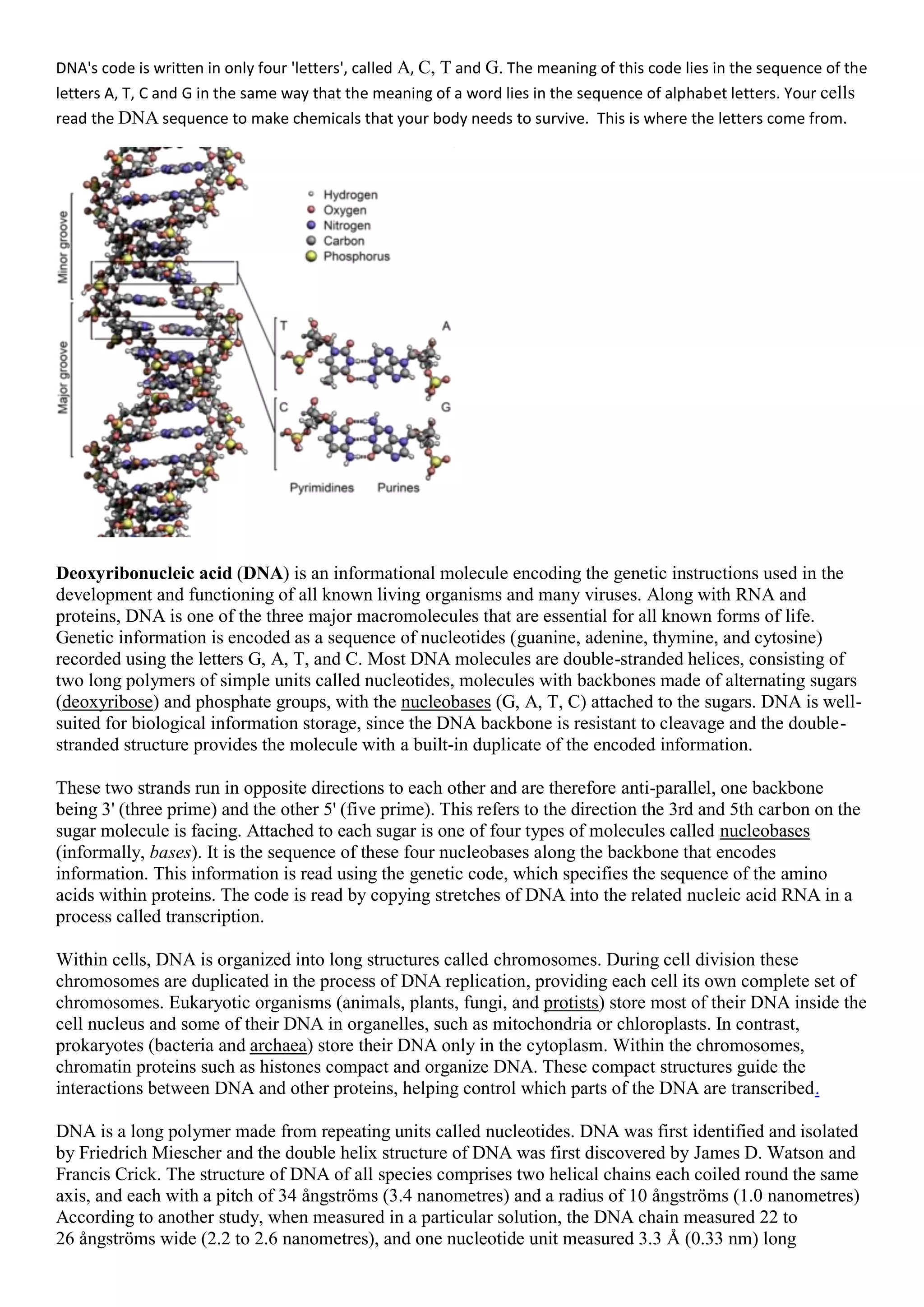 DNA Lecture Notes | PDF