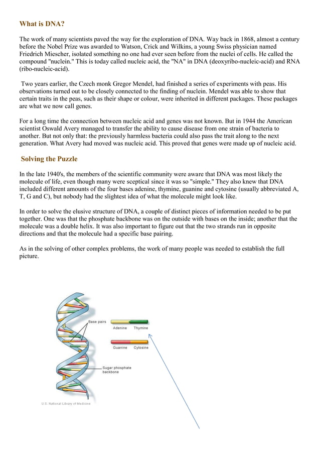 DNA Lecture Notes | PDF | Biological Sciences | Science