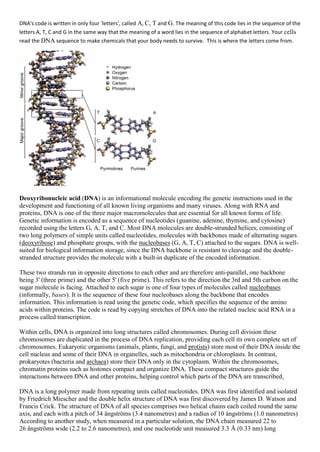 DNA Lecture Notes | PDF