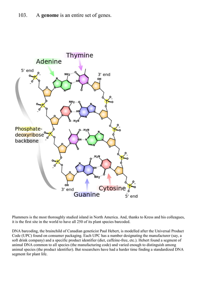 DNA Lecture Notes | PDF | Biological Sciences | Science