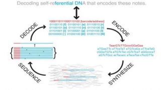 DNA digital data storage.pptx