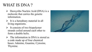DNA digital data storage.pptx