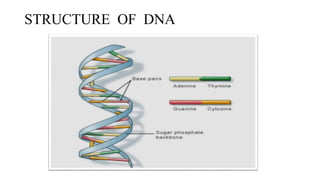 DNA digital data storage.pptx