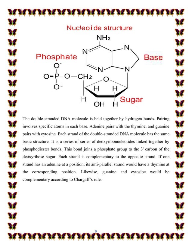 DNA and its DISCOVERY.pdf