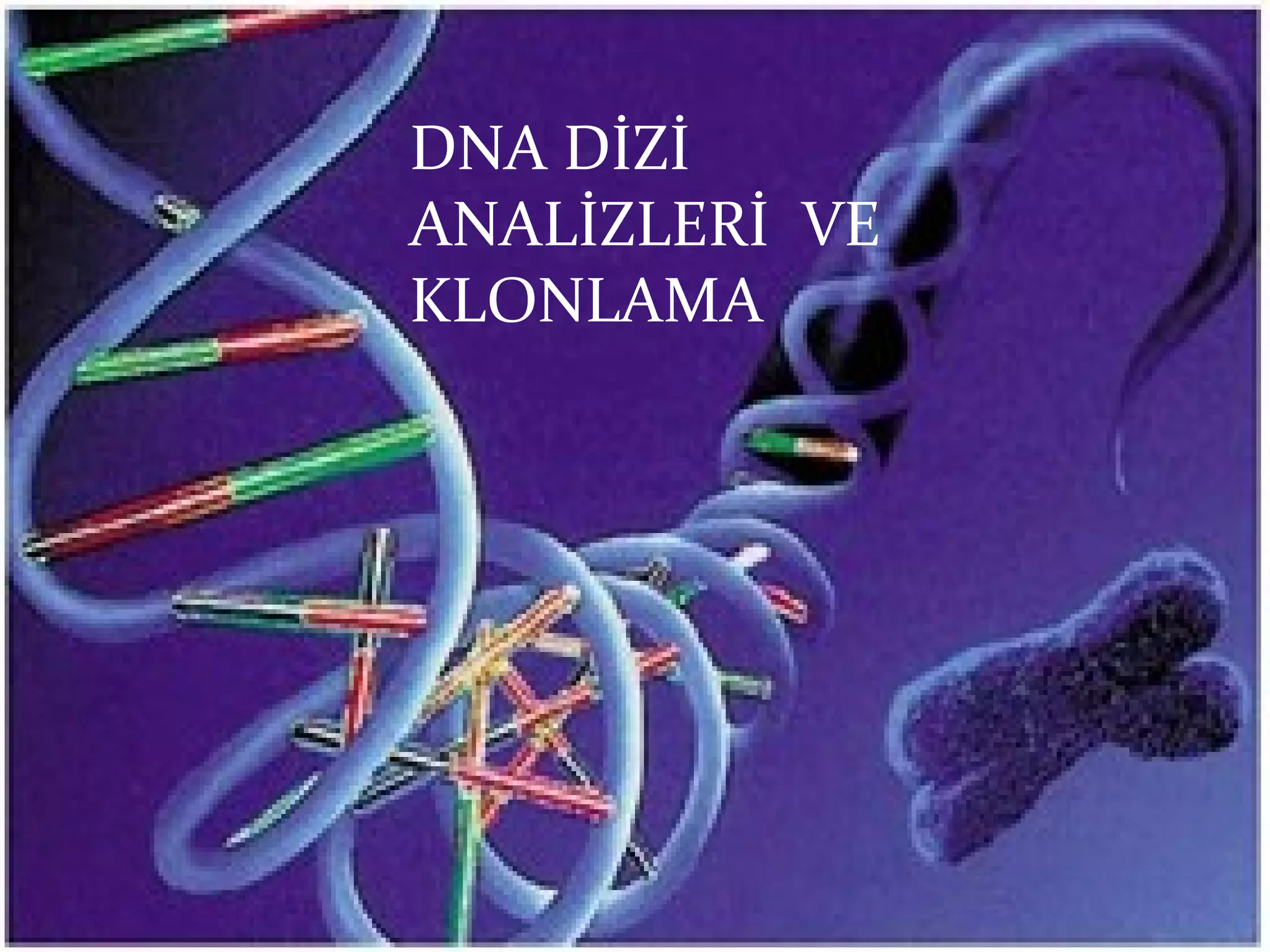 Dna dizi analizi ve klonlama | PPT