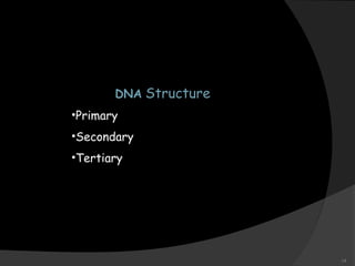 DNA double helix | PPT