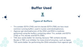 Gel electrophoresis | PDF