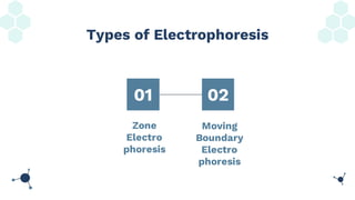 Gel electrophoresis | PDF