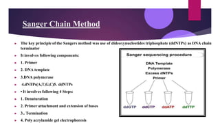 DNA ELECTROPHORESIS, PCR, DNA SEQUENCING.pptx
