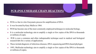 DNA ELECTROPHORESIS, PCR, DNA SEQUENCING.pptx