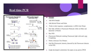 DNA ELECTROPHORESIS, PCR, DNA SEQUENCING.pptx