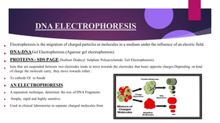 DNA ELECTROPHORESIS, PCR, DNA SEQUENCING.pptx