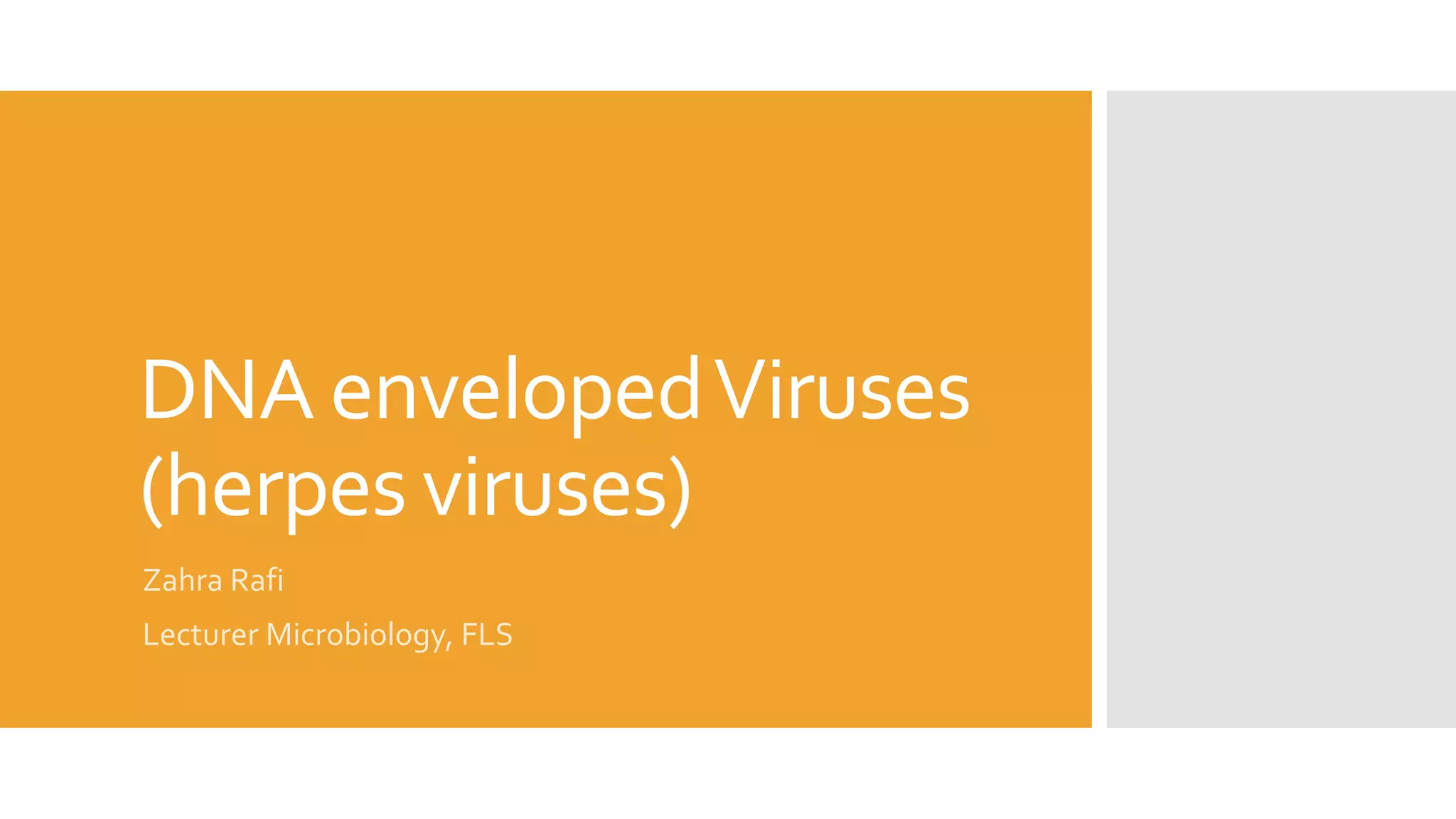 DNA enveloped Viruses herpes viruses_ lesson 4.pptx