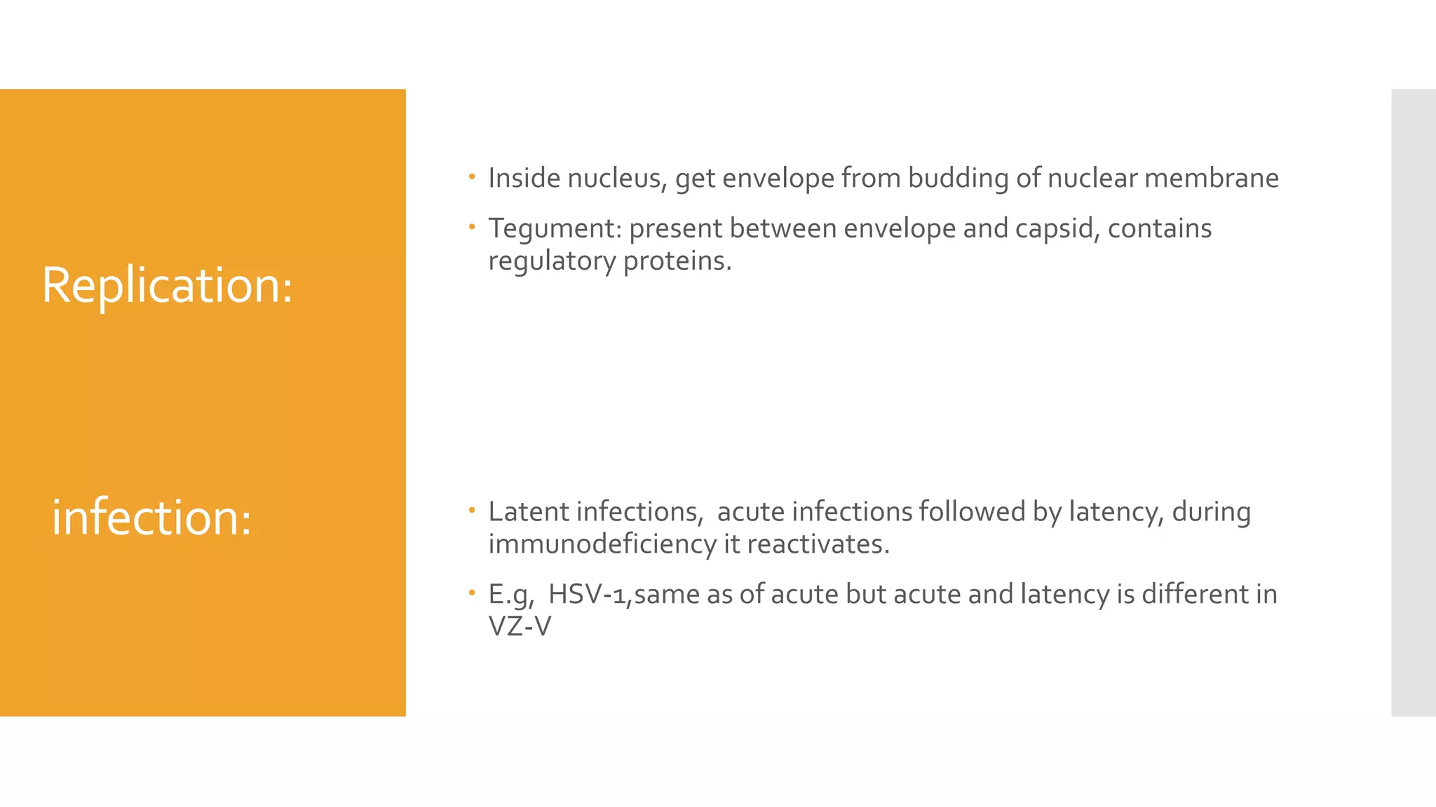 DNA enveloped Viruses herpes viruses_ lesson 4.pptx
