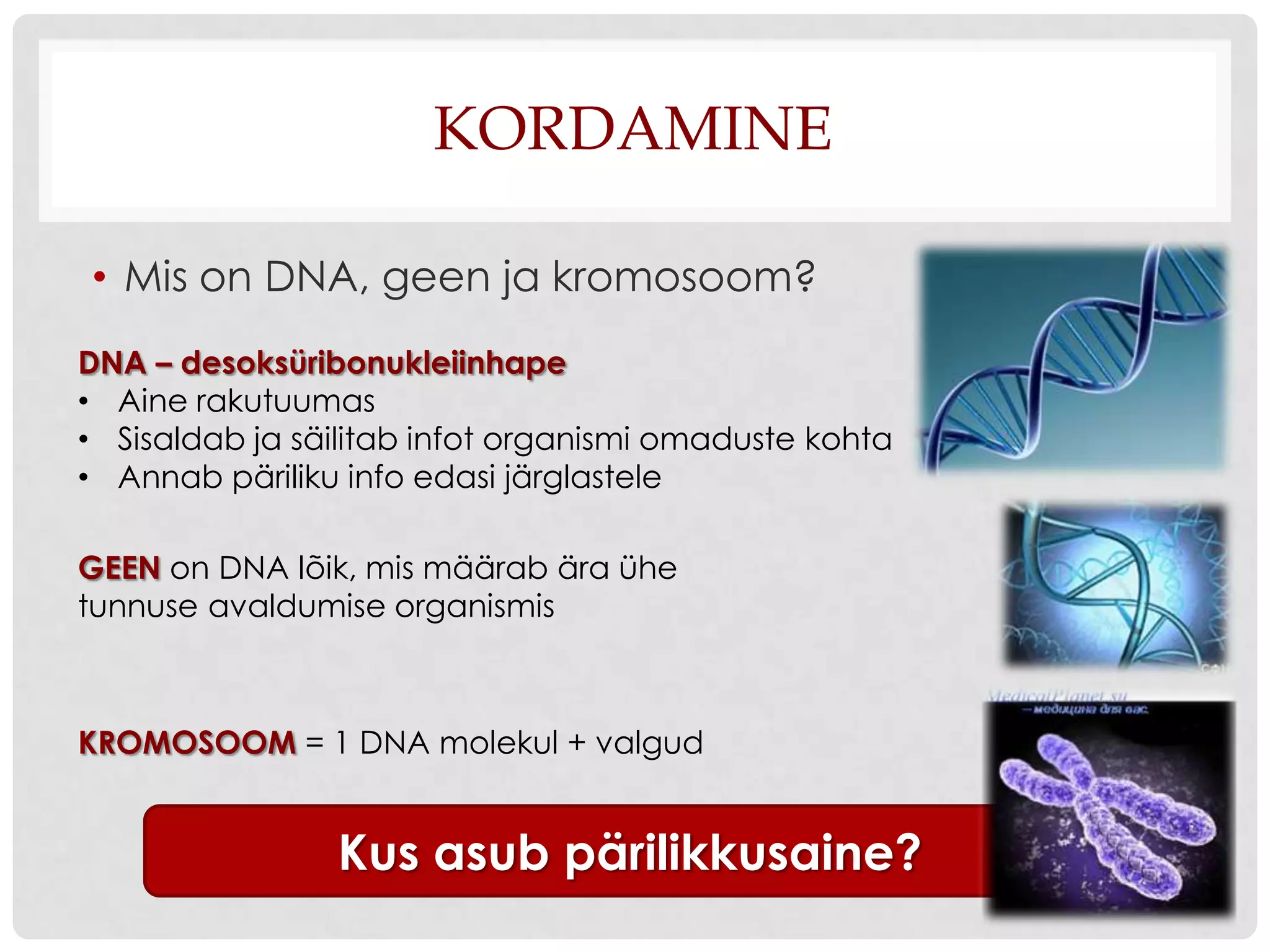 Dna eraldamine | PPTX