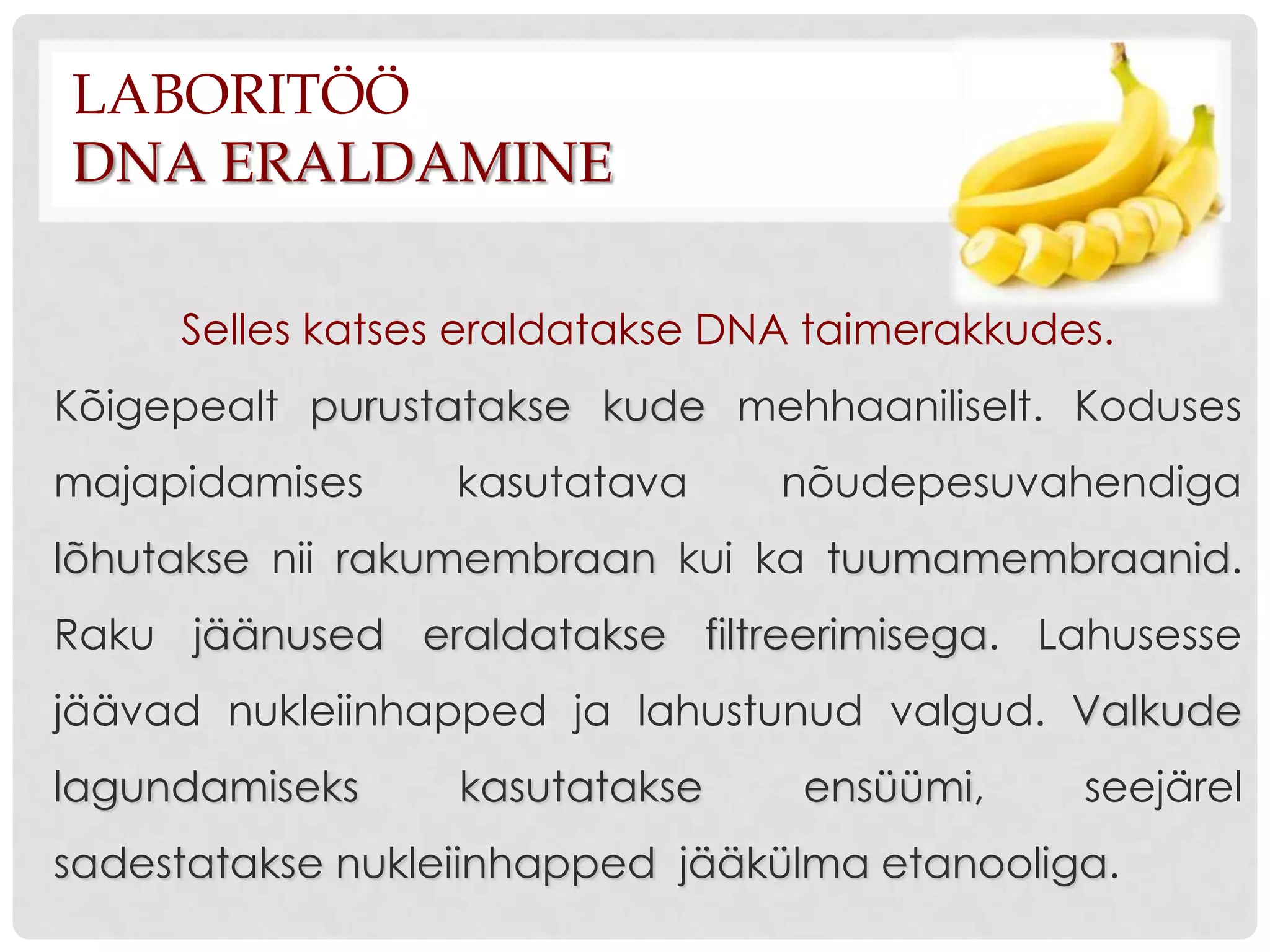 Dna eraldamine | PPTX