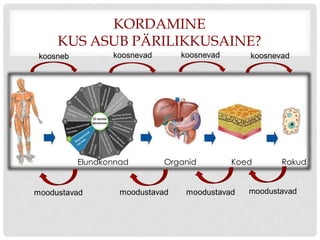 Dna eraldamine | PPT