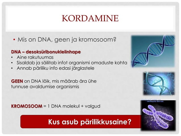 Dna eraldamine | PPT