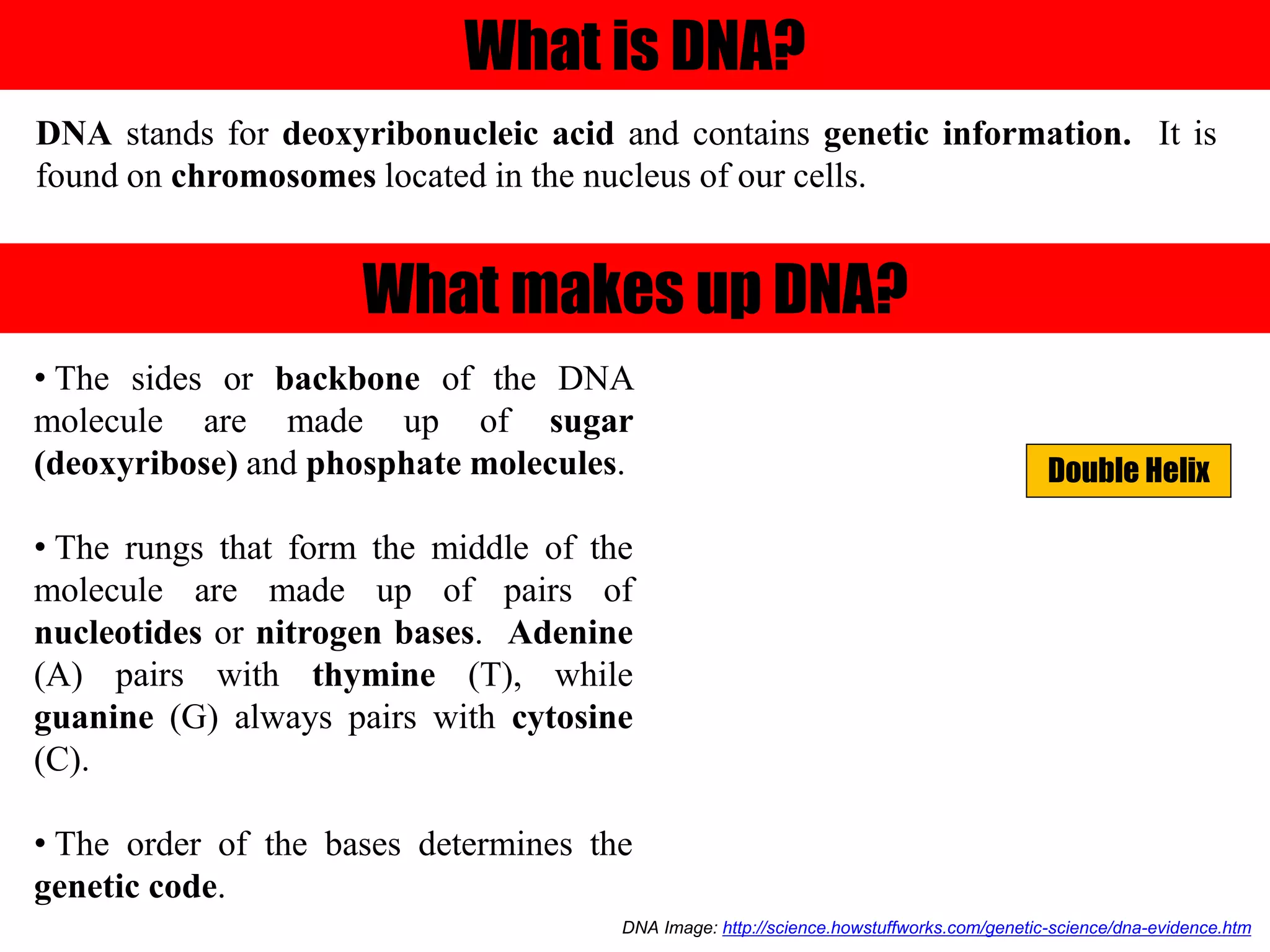 DNAevidence.pptx