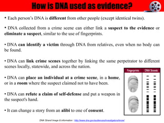 DNAevidence.pptx