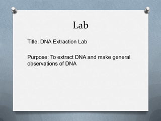 Dna Extraction | PPT