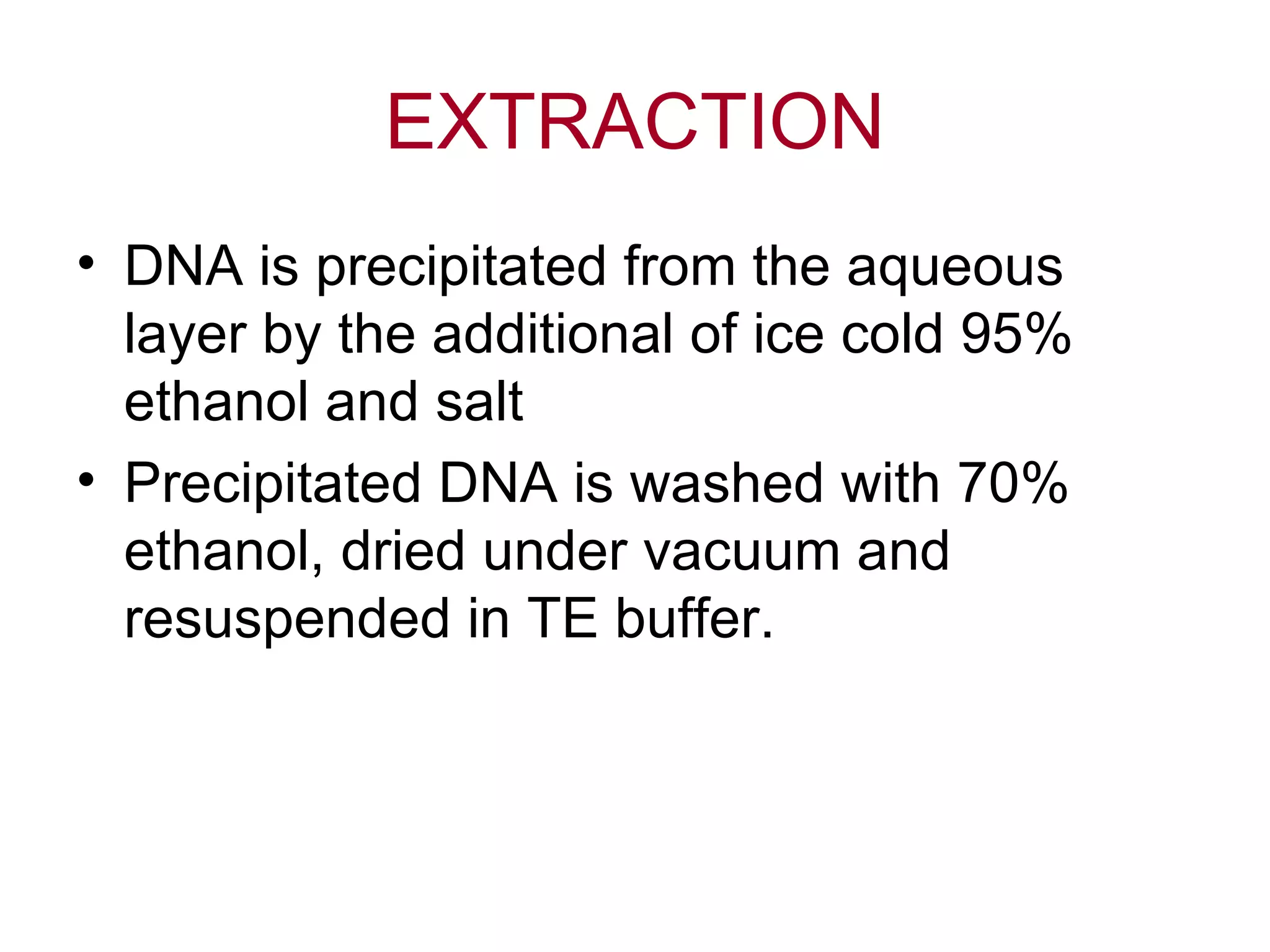 Dna extraction | PPT