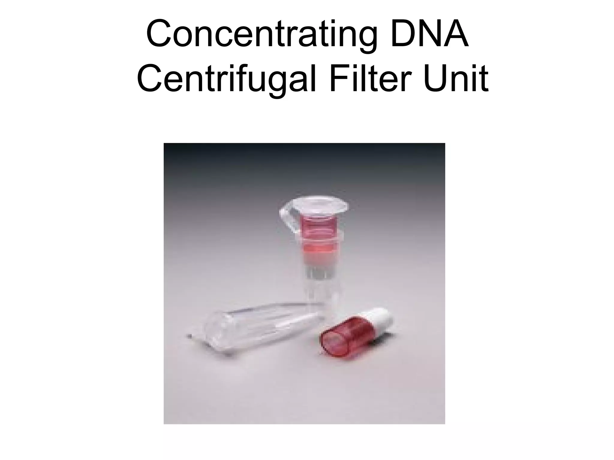 Dna extraction | PPT
