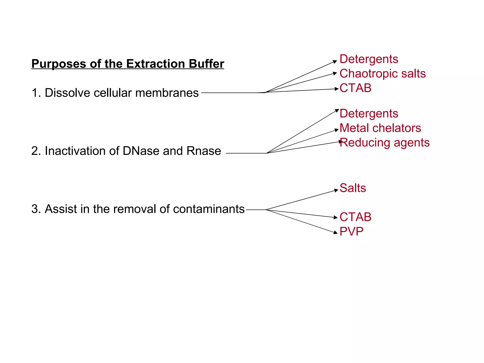 Dna extraction | PPT