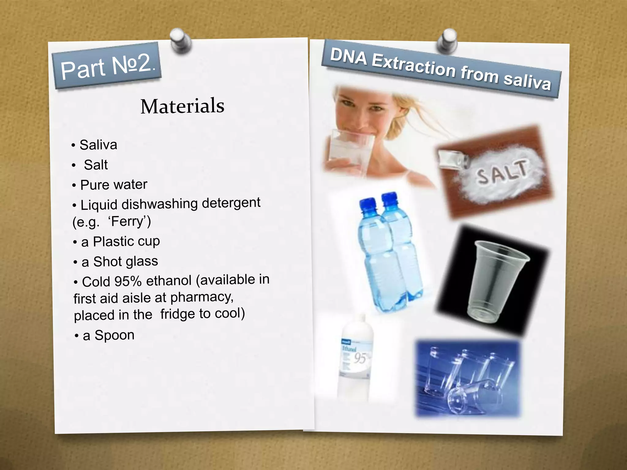 Dna extraction | PPTX