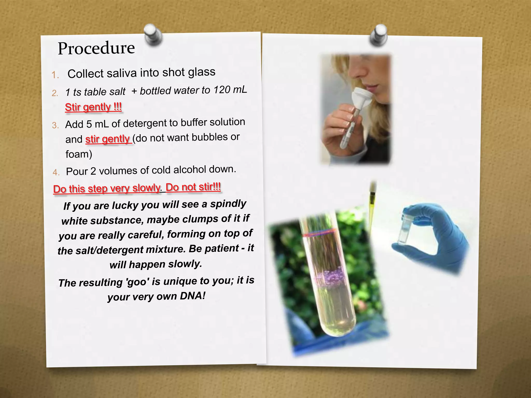 Dna extraction | PPTX