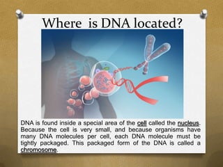 Dna extraction | PPTX