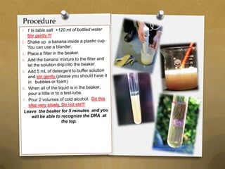 Dna extraction | PPTX