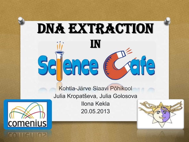 Dna extraction | PPT