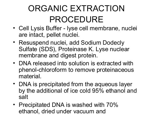 Cell Lysis Buffer Recipe For Dna Extraction | Besto Blog