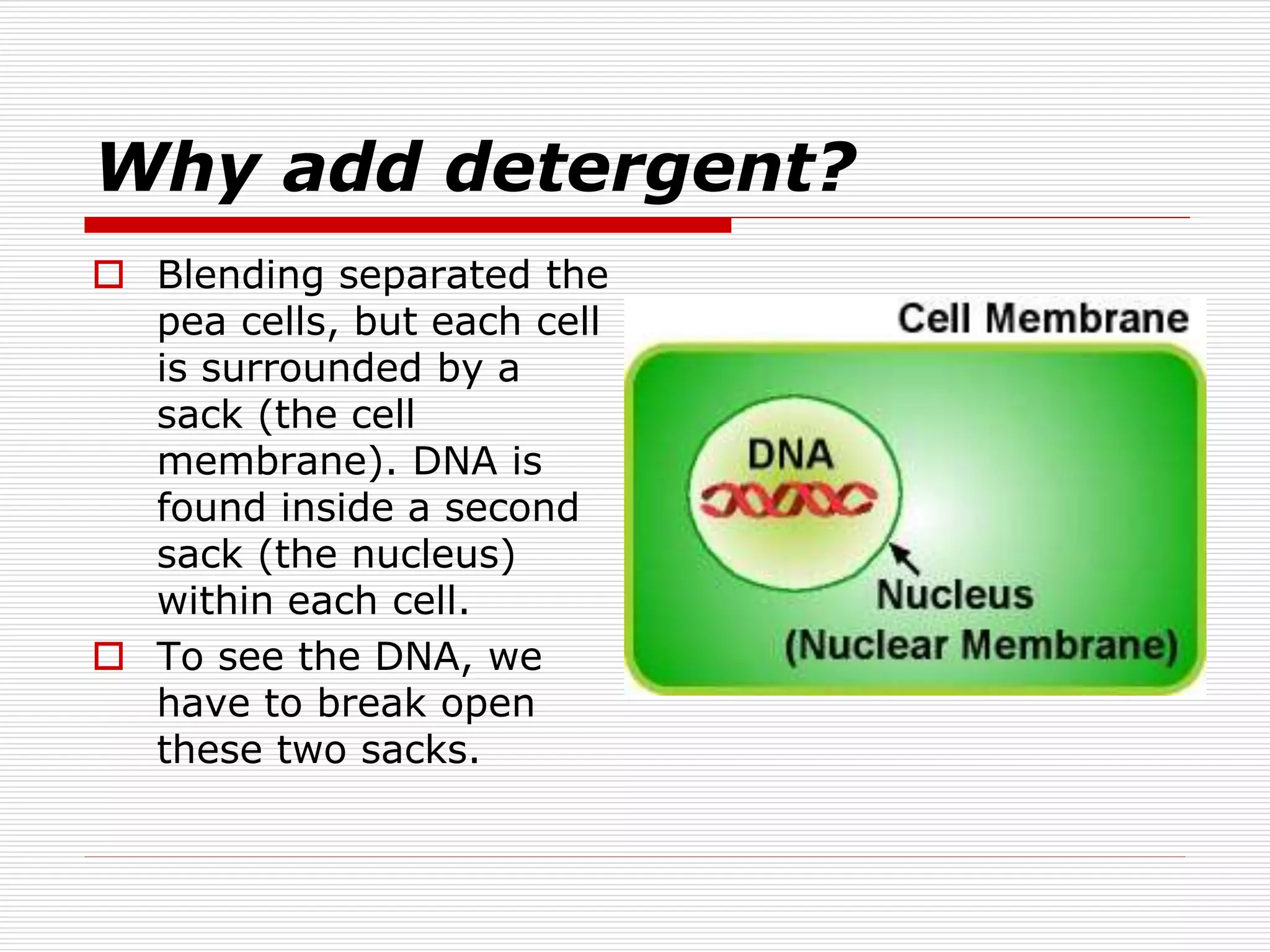 DNA Extration Methods | PPT