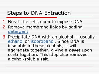 DNA Extration Methods | PPT