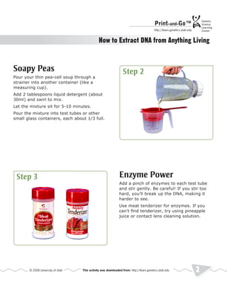 Dna extraction | PDF