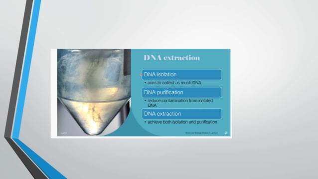 Dna extraction | PPT