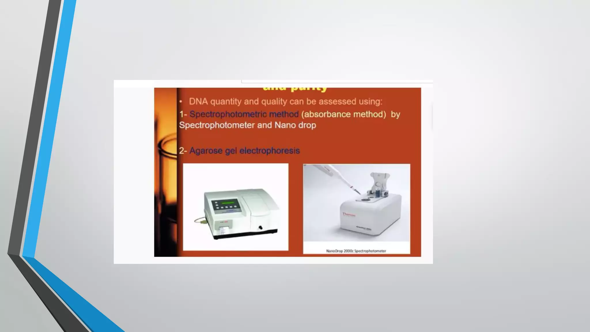 DNA Extraction | PDF