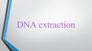 DNA Extraction | PDF
