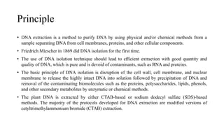 DNA Extraction.pptx