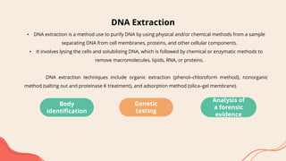 DNA extraction.pptx