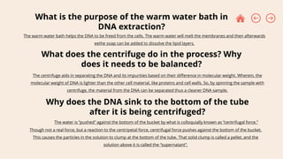 DNA extraction.pptx