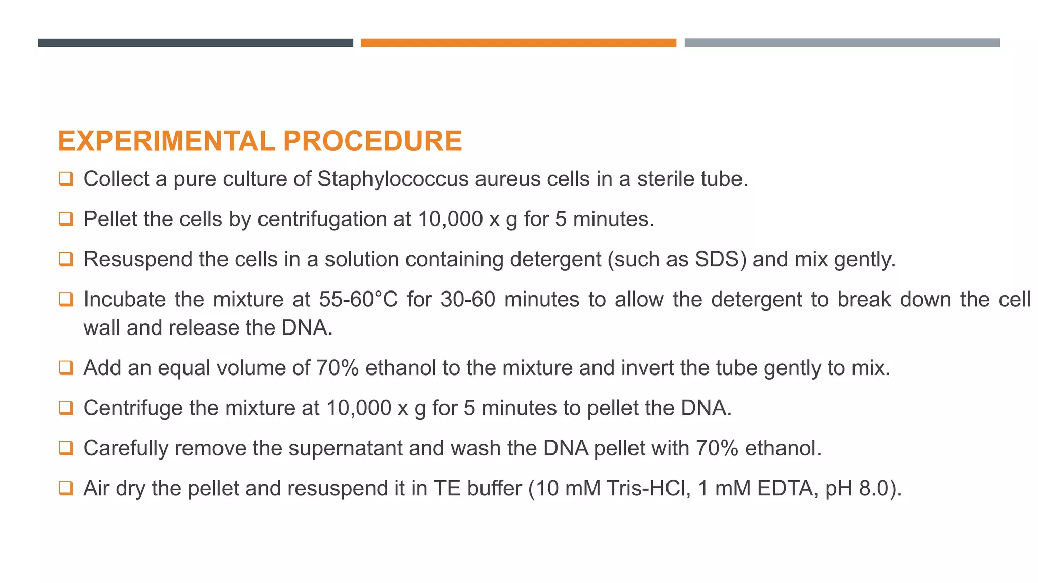DNA Extraction.pptx