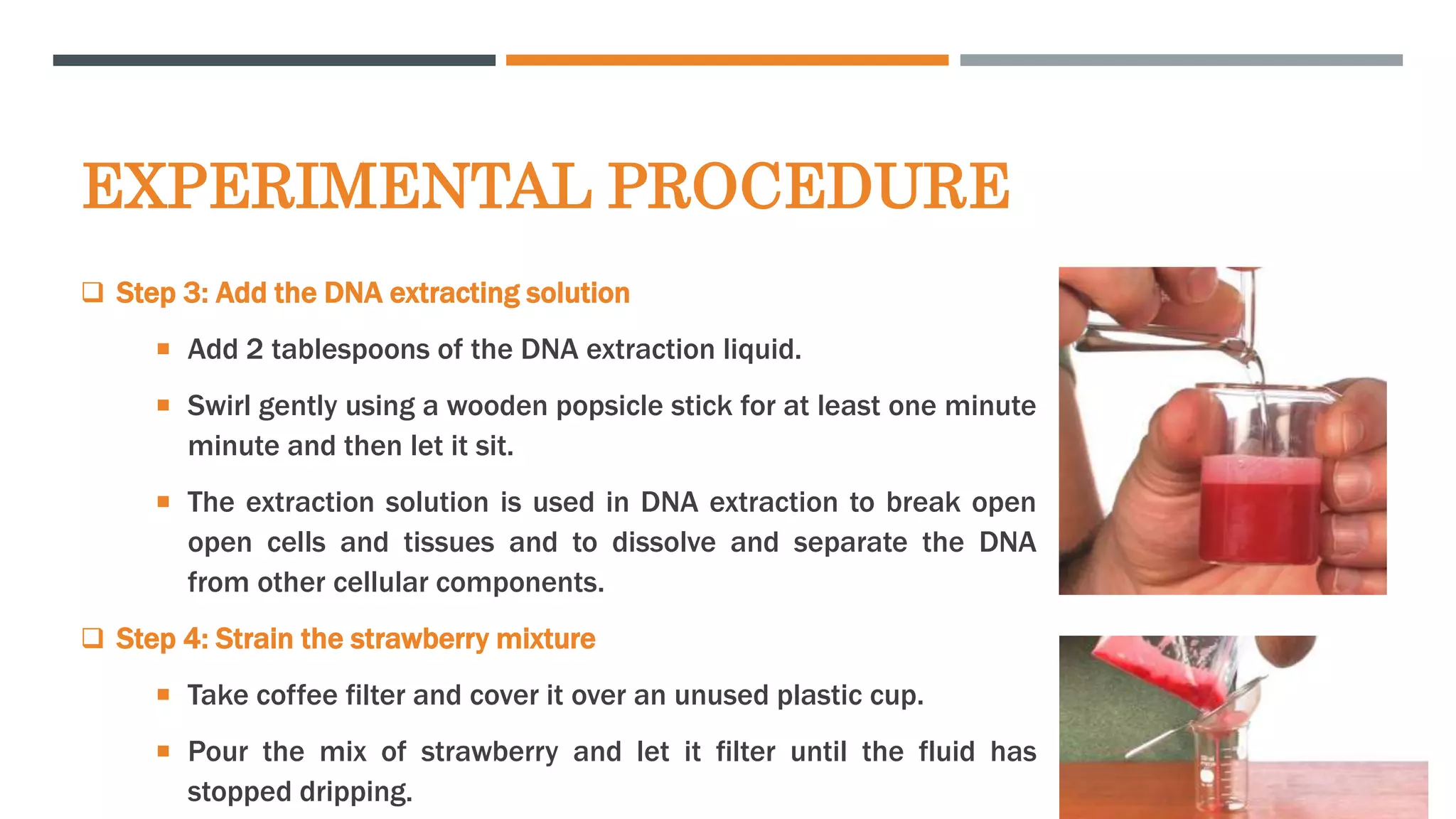DNA Extraction.pptx