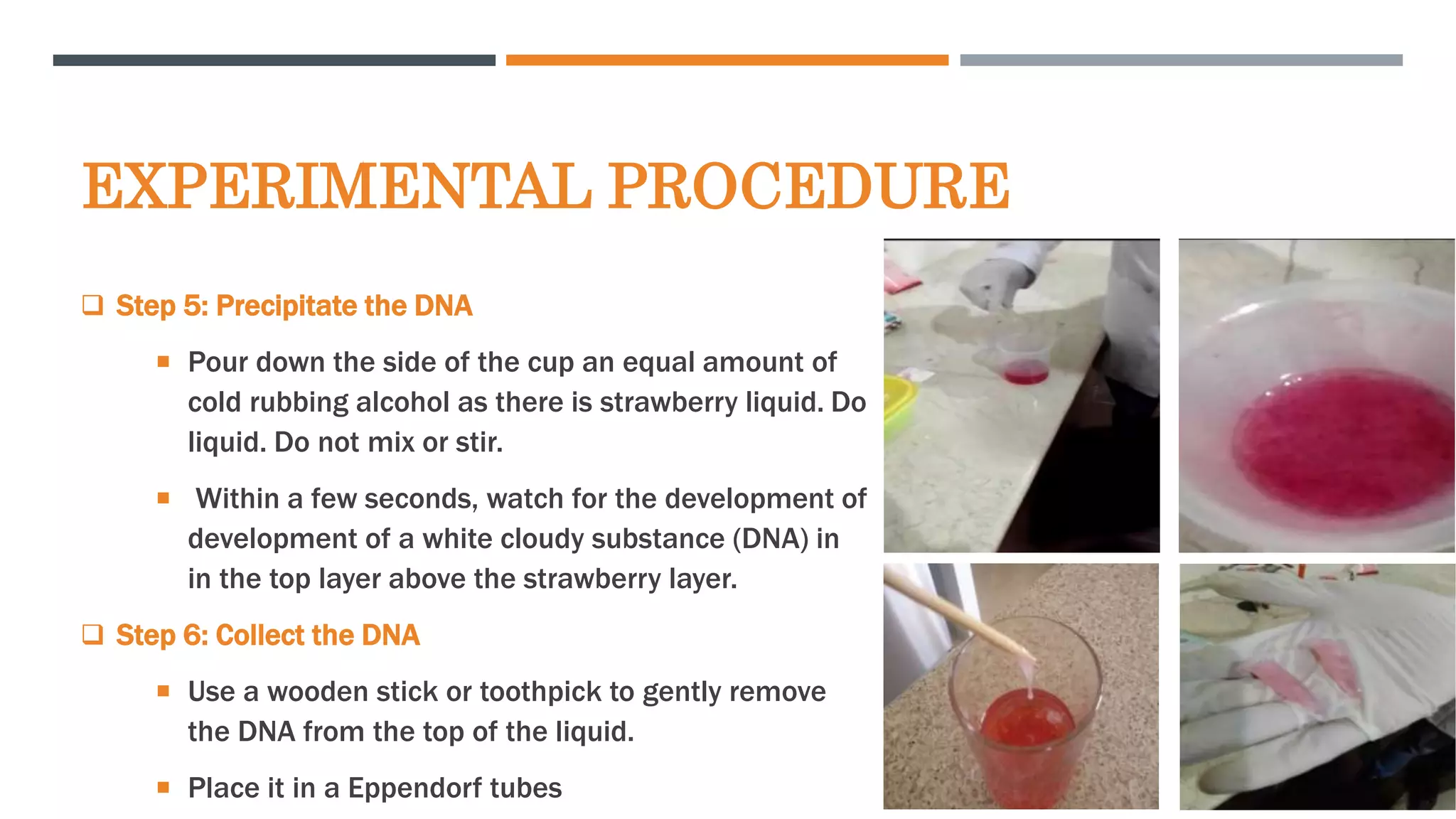 DNA Extraction.pptx