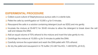 DNA Extraction.pptx