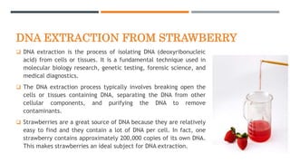 DNA Extraction.pptx